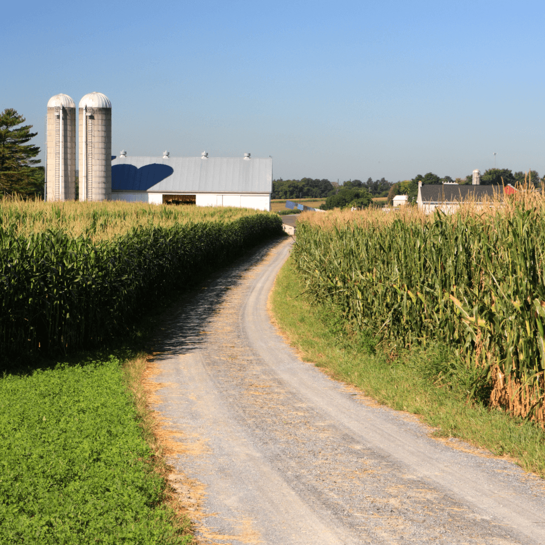 Membership Directory