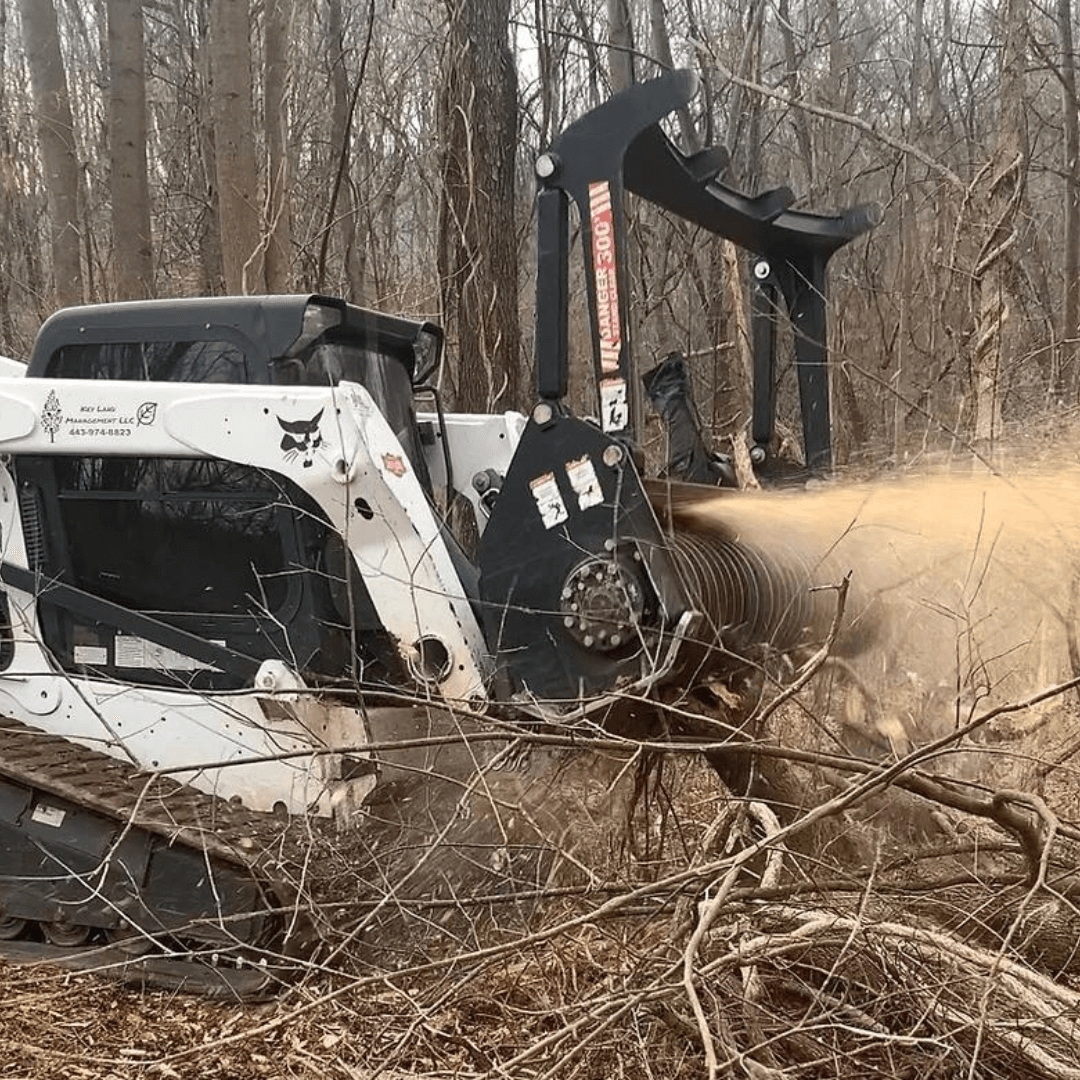 Membership Directory