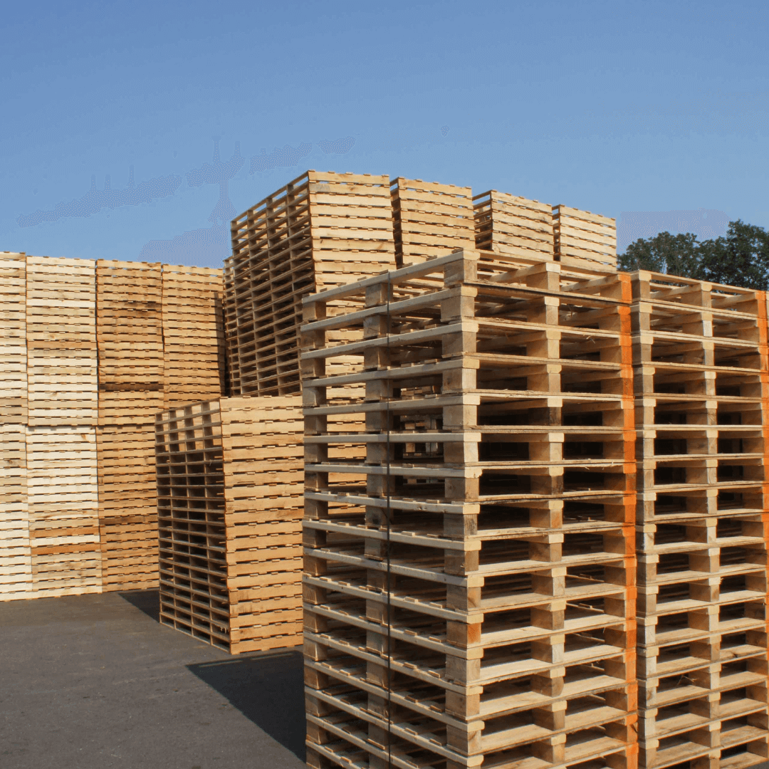 Membership Directory